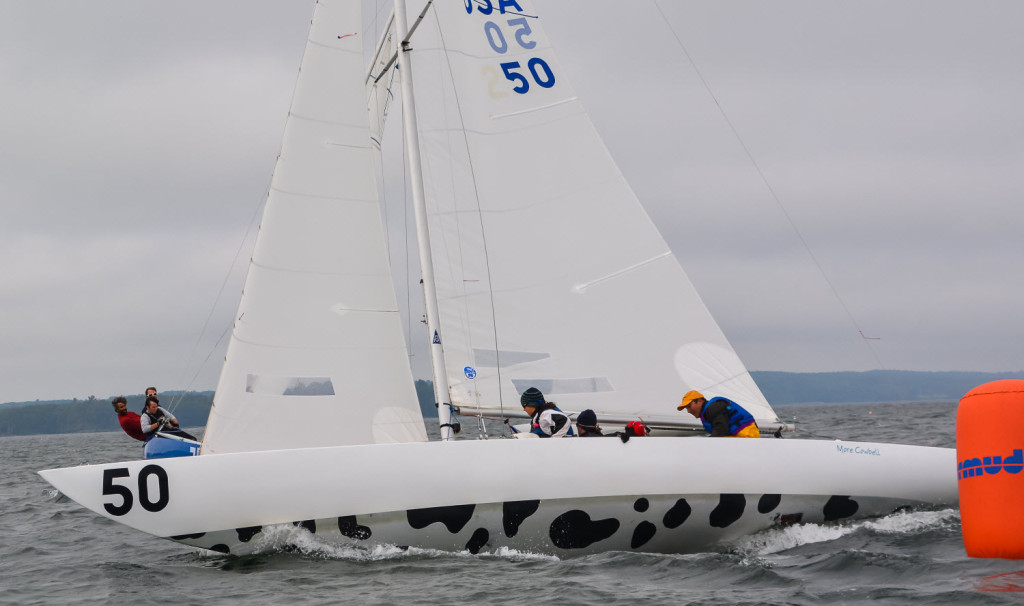 cow - Scuttlebutt Sailing News: Providing sailing news for sailors