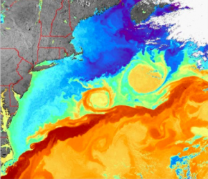Let’s talk about the Gulf Stream – Bay Marine